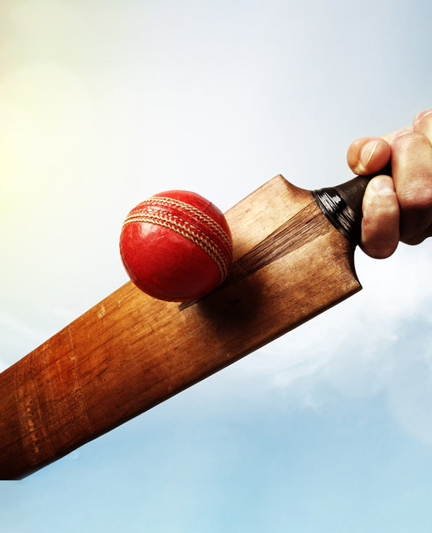 LEATHER BALLS – CricketZoneUSA